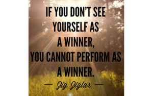 Ziglar Inc - See Yourself
